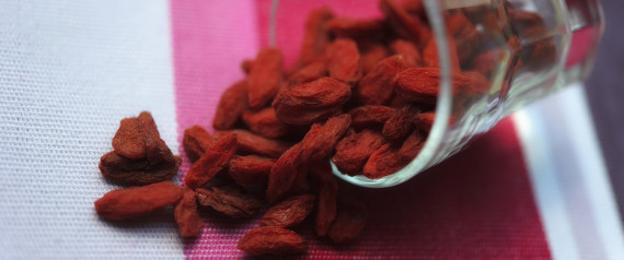 Goji Berry Benefits: 12 Facts About This Healthy Superfood - Vanshow ...